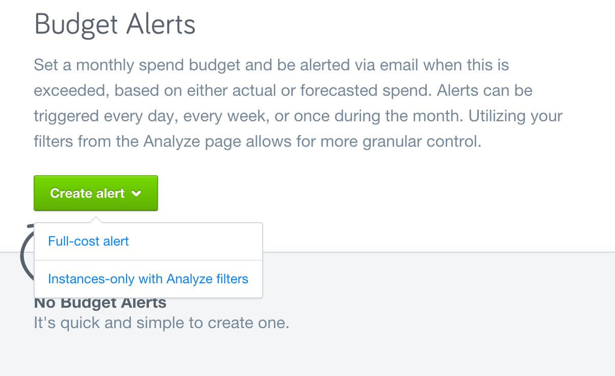 Setting Up Budget Alerts